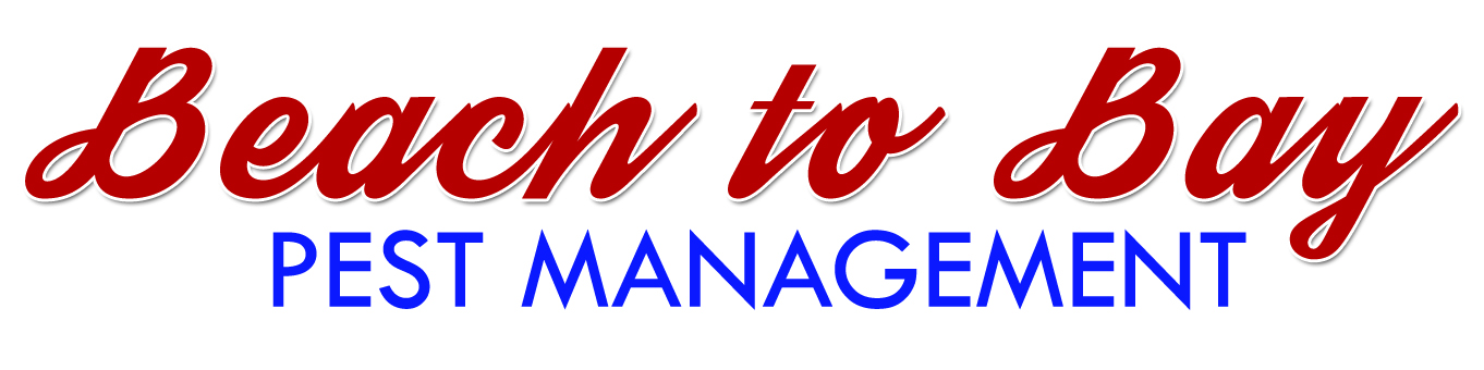 Beach to Bay Pest Management – Termites@Cooloola & Beach to Bay Pest ...